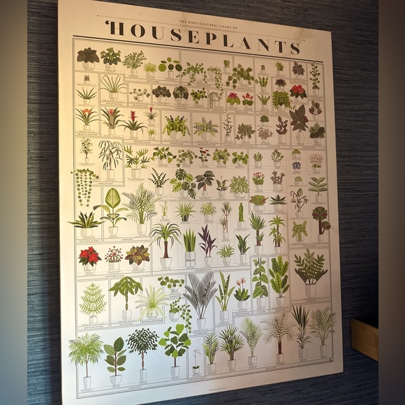 popchart | Wall Decor | Houseplant Chart | Poshmark